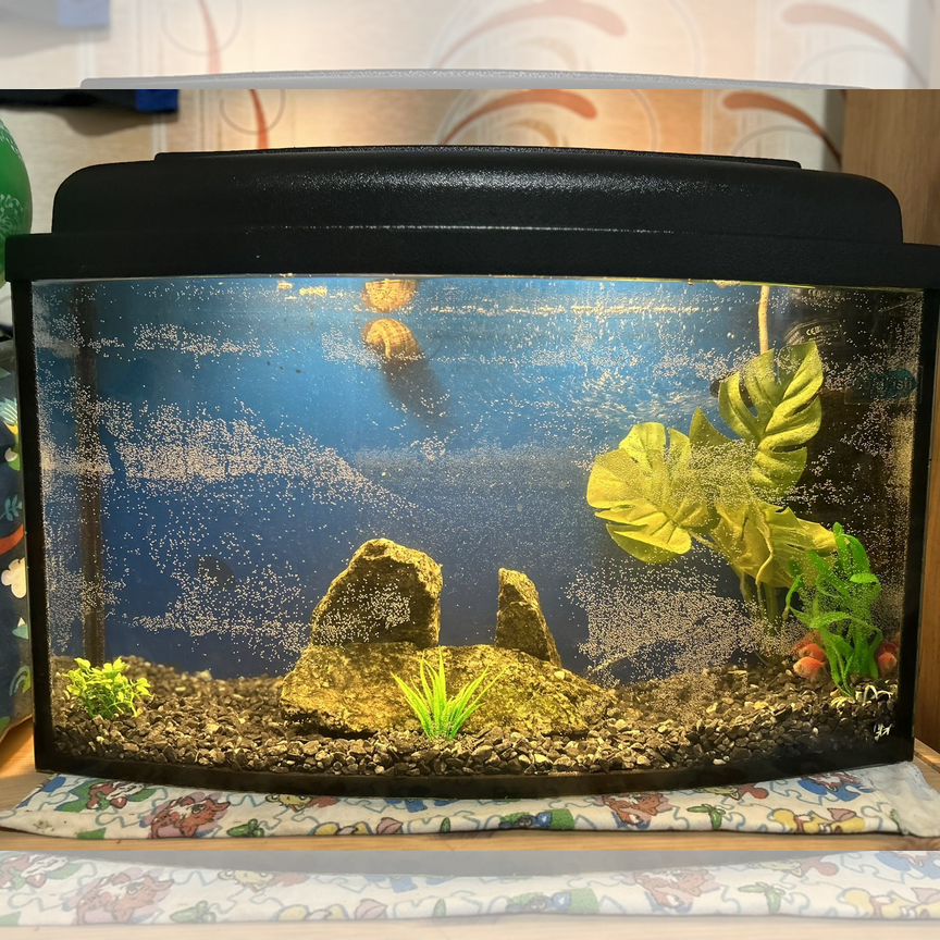 Аквариумные рыбки