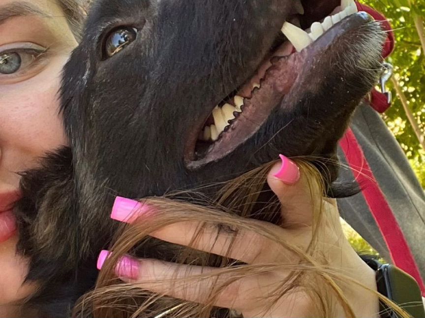 Щенок в семью