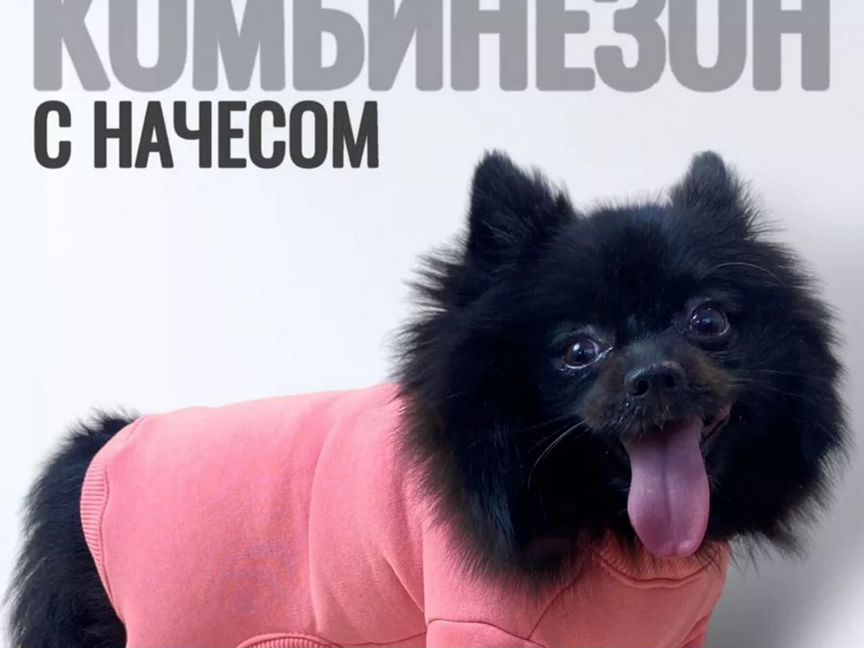 Одежда для собак мелких пород девочек