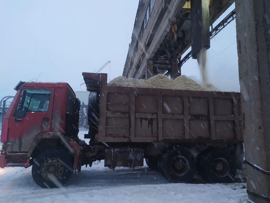 Жом свекловичный