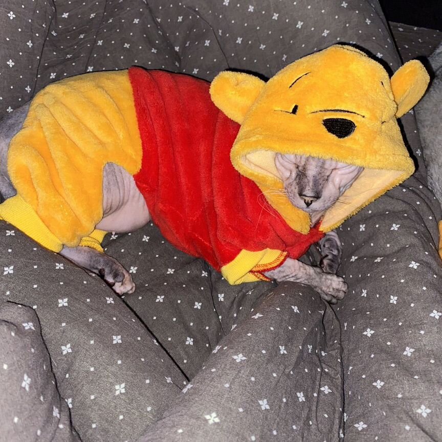 Костюмчик для кошек, собак