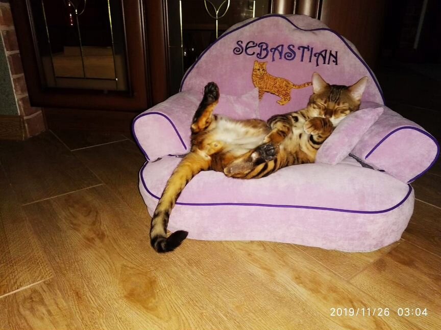 Именные лежанки для кошек и собак