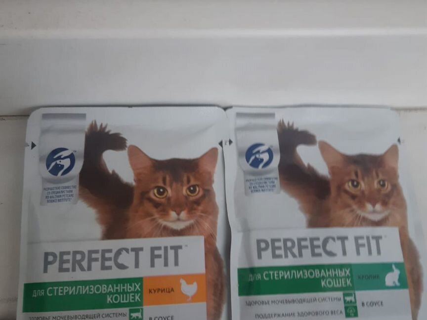 Корм для кошек