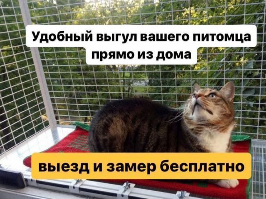 Балкончик для кошек/выгул