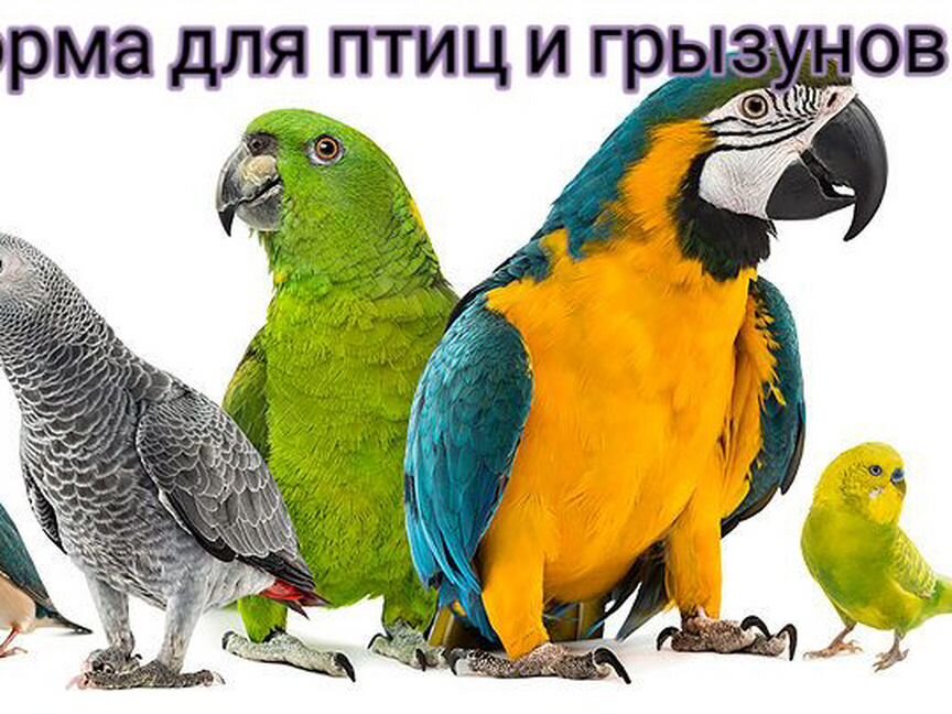 Корма для кошек и собак, птиц и грызунов