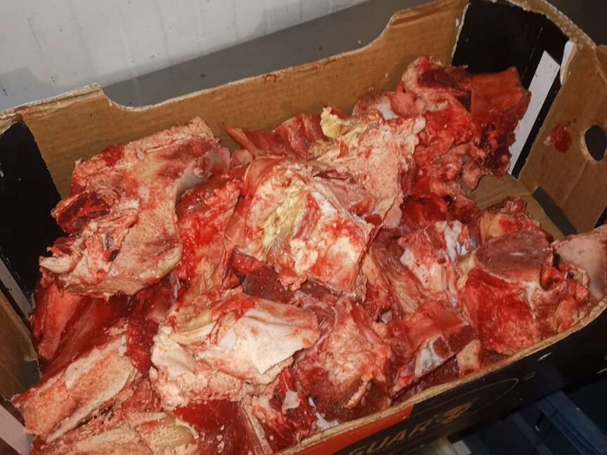 Мясо и кости для собак
