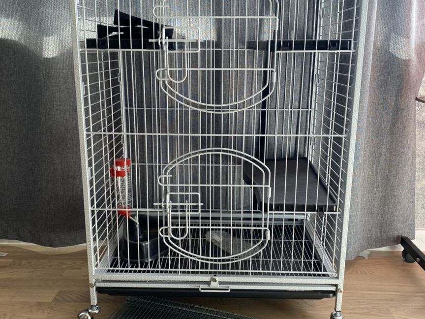 Большая клетка для шиншилл крыс