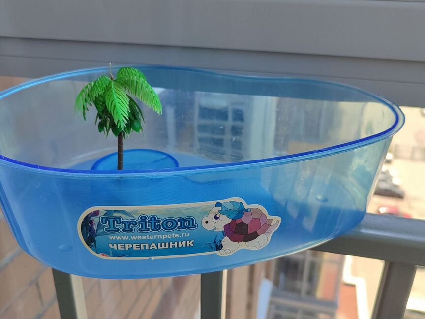 Аквариум черепашник
