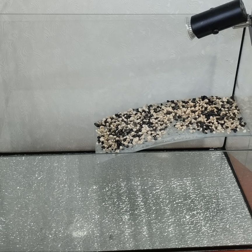 Продам аквариум для черепах