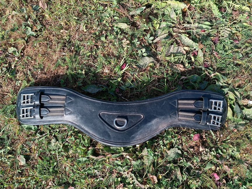 Анатомическая подпруга