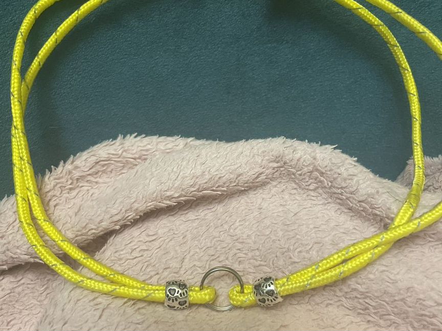 Шнурок для адресника вашей собаке или кошке