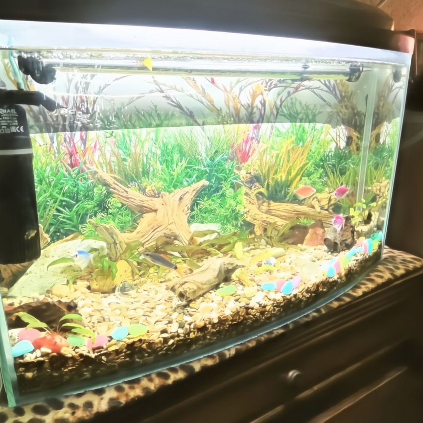 Продам аквариум