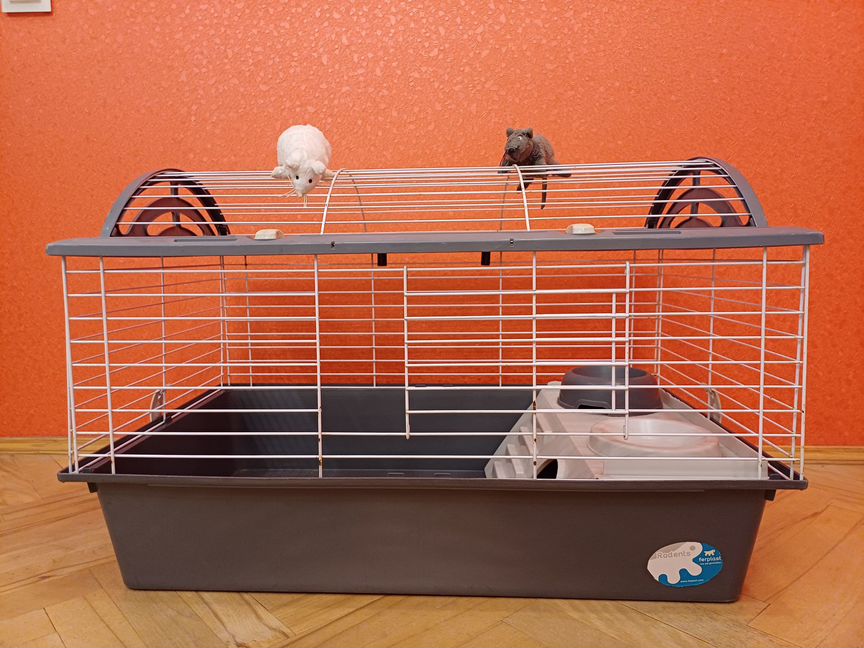 Клетка для грызунов Ferpast Casita 80