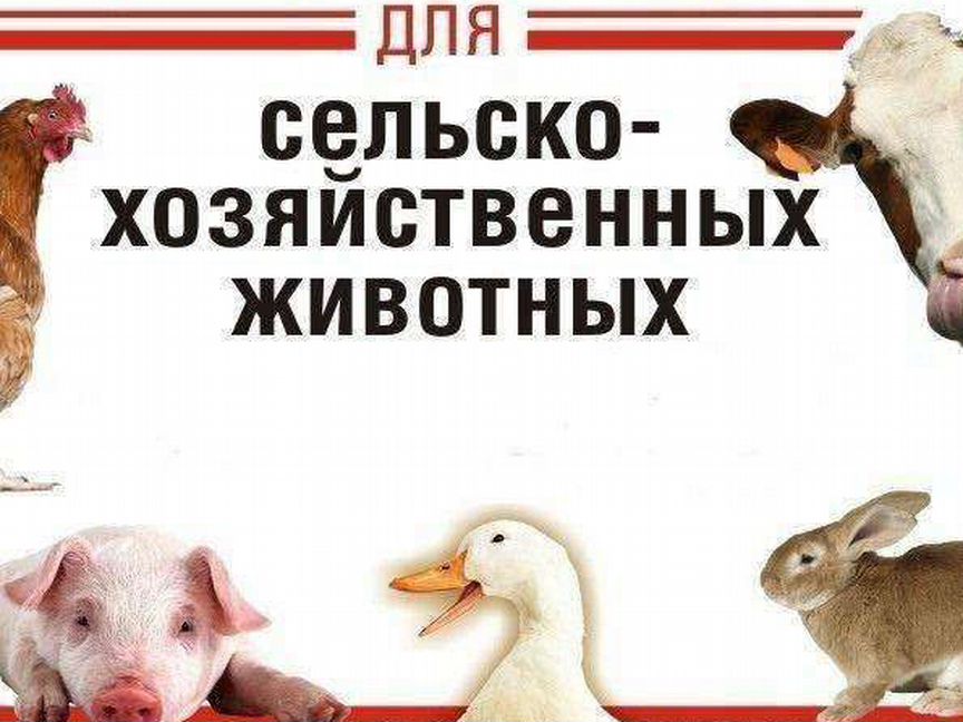 Корма для с/х животных
