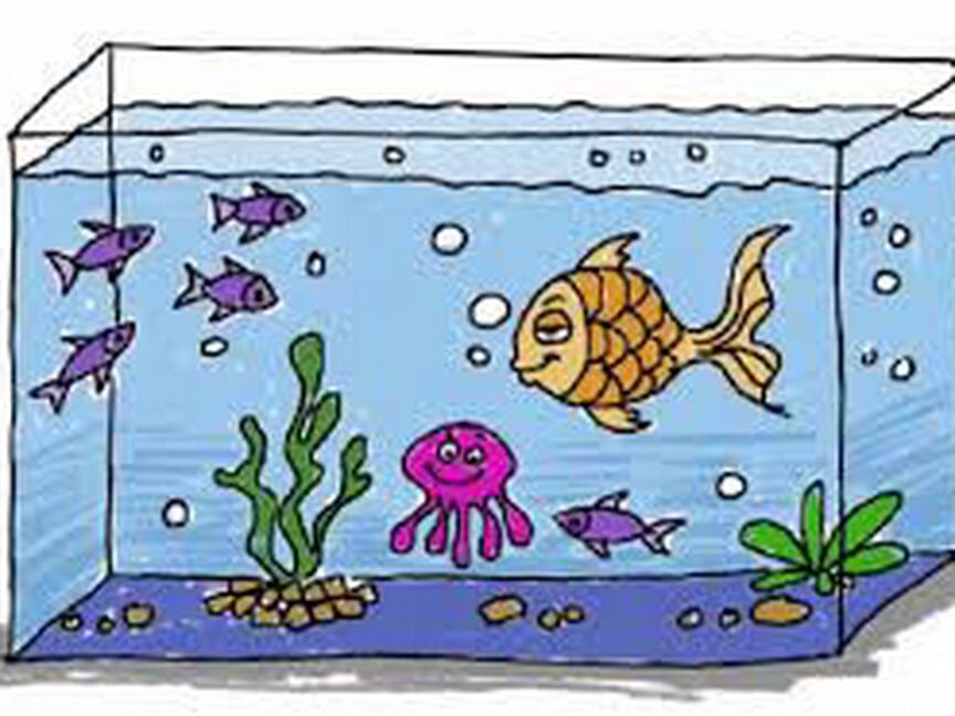 Аквариум (5литров) для петушка или мальков