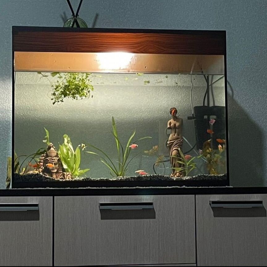 Продам аквариум