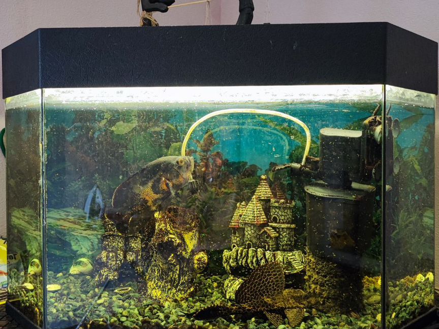 Аквариум