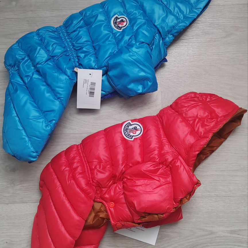 Новый комбинезон для собаки