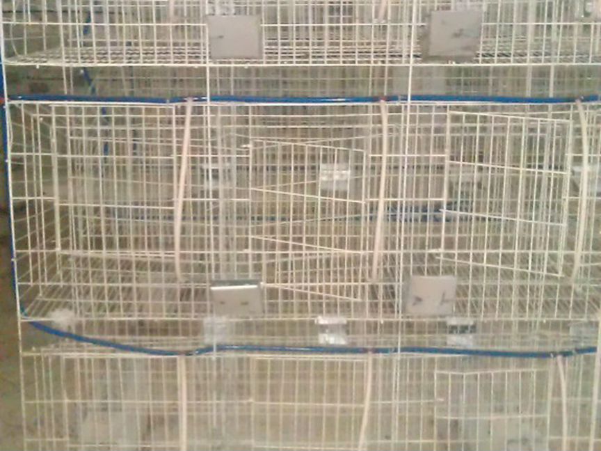 Клетки для кроликов и прочих. Цена за 9 секций