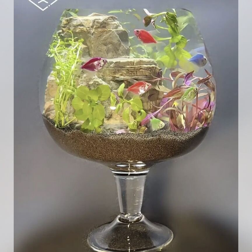 Аквариум в виде бокала 5 литров