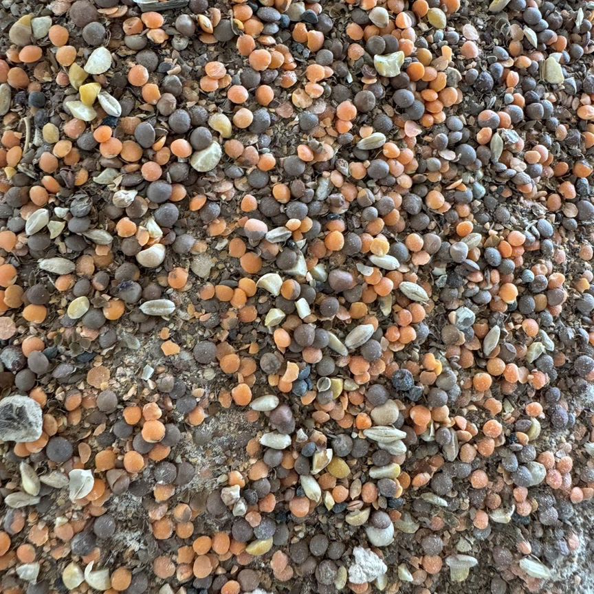 Зерно отходы