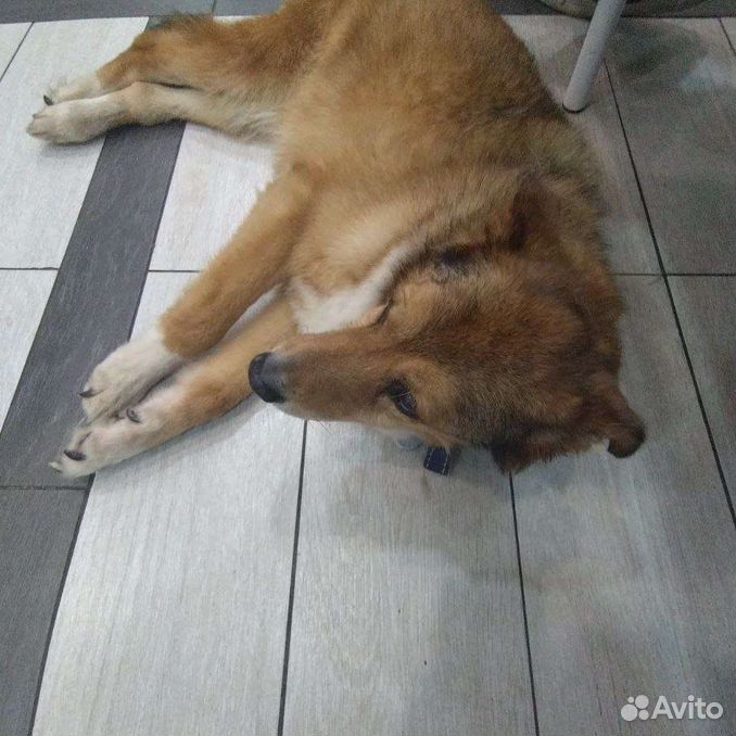 Джуля из приюта потеряла веру