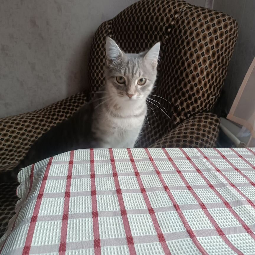 Мальчик красавчик