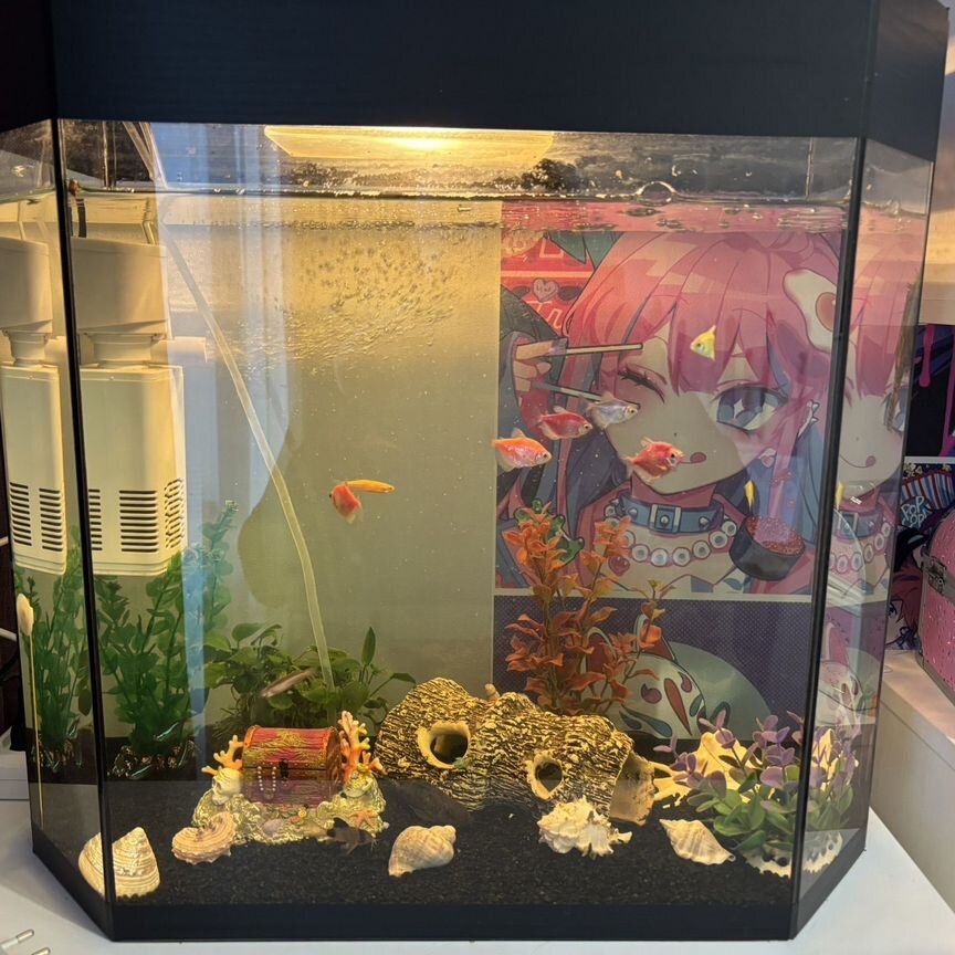 Аквариум с рыбками