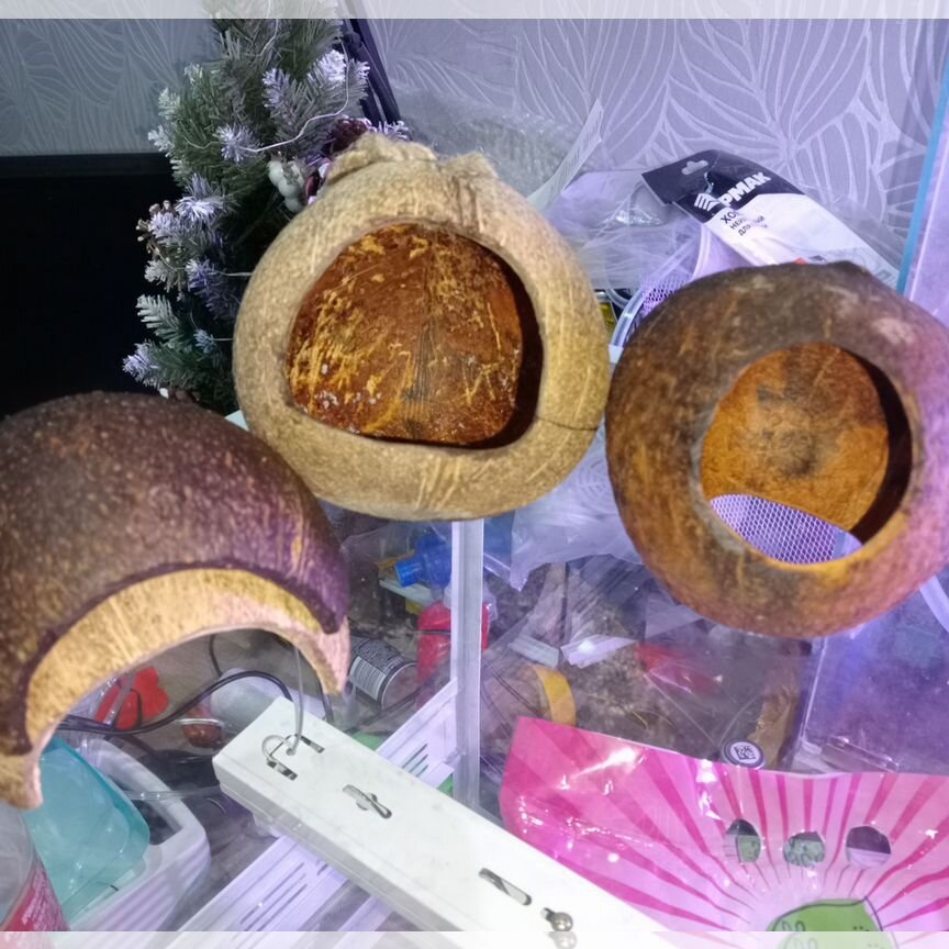 Кокосовые укрытия для животных