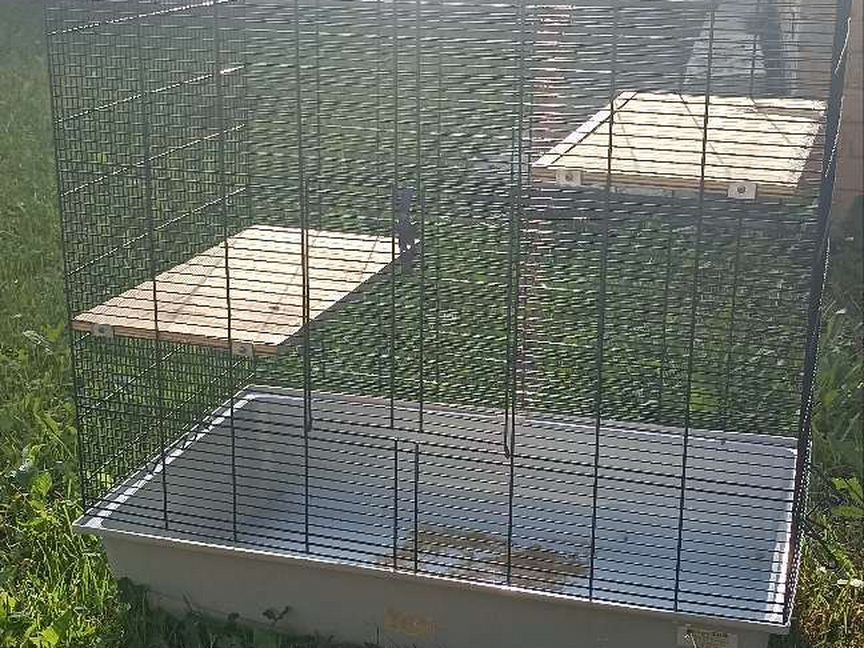 Клетка для грызунов большая