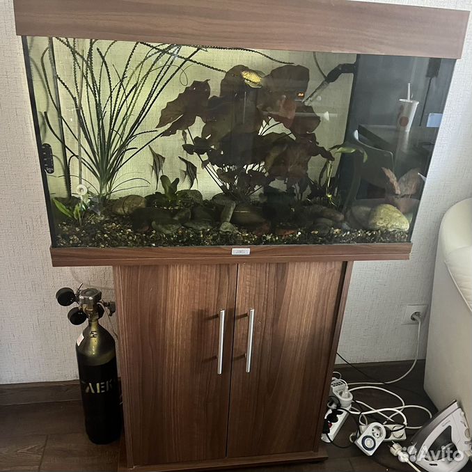 Аквариум juwel Rio125