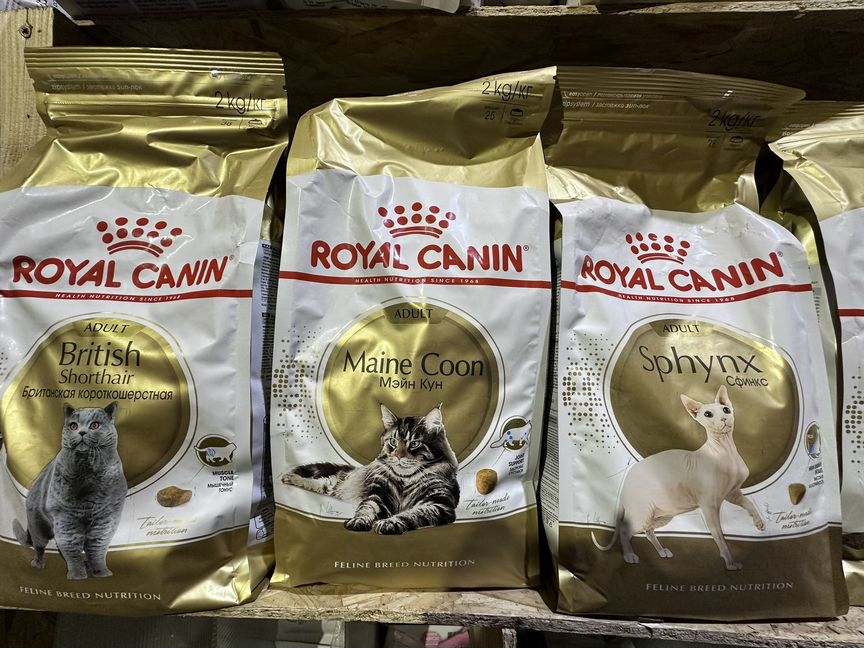 Сухой корм royal canin для породистых кошек