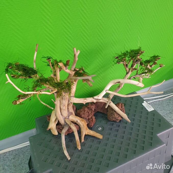 Коряги для аквариума,композиции,бонсай