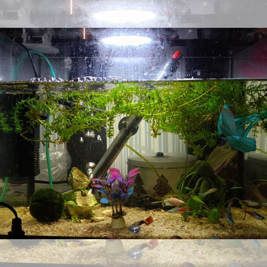 Аквариум 30 литров с рыбками