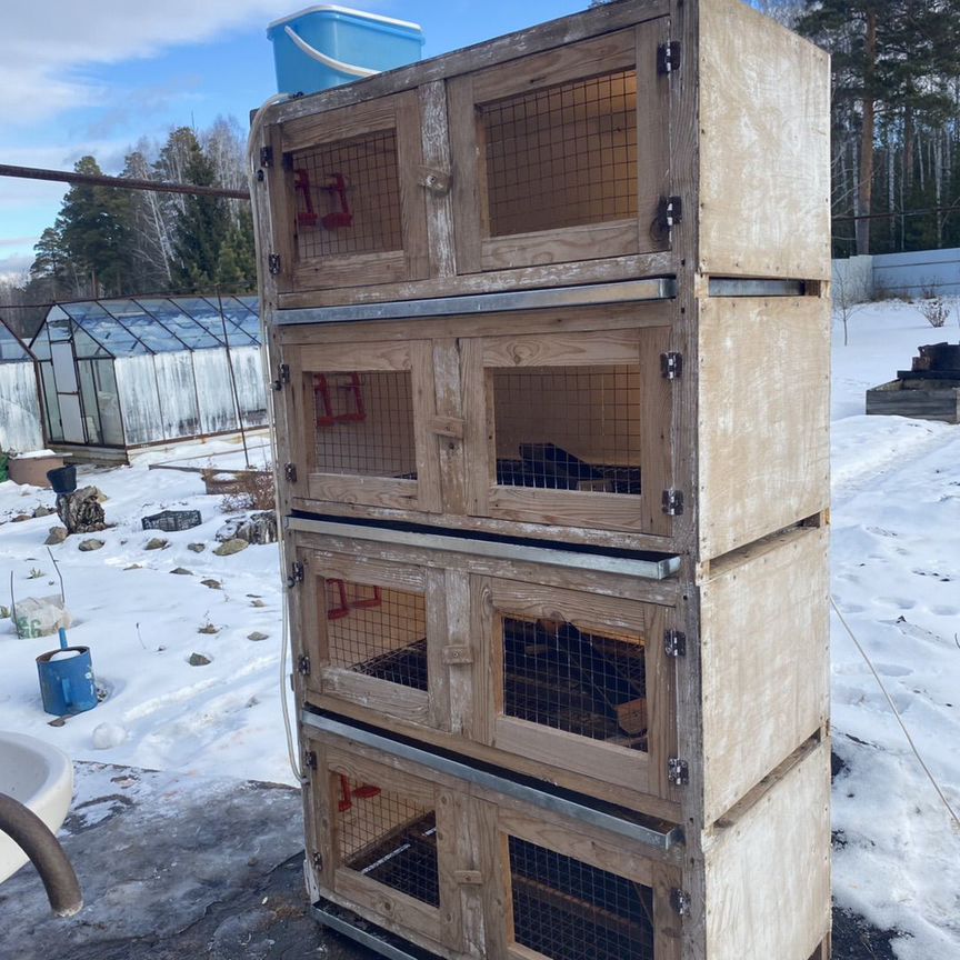 Клетка брудер для цыплят