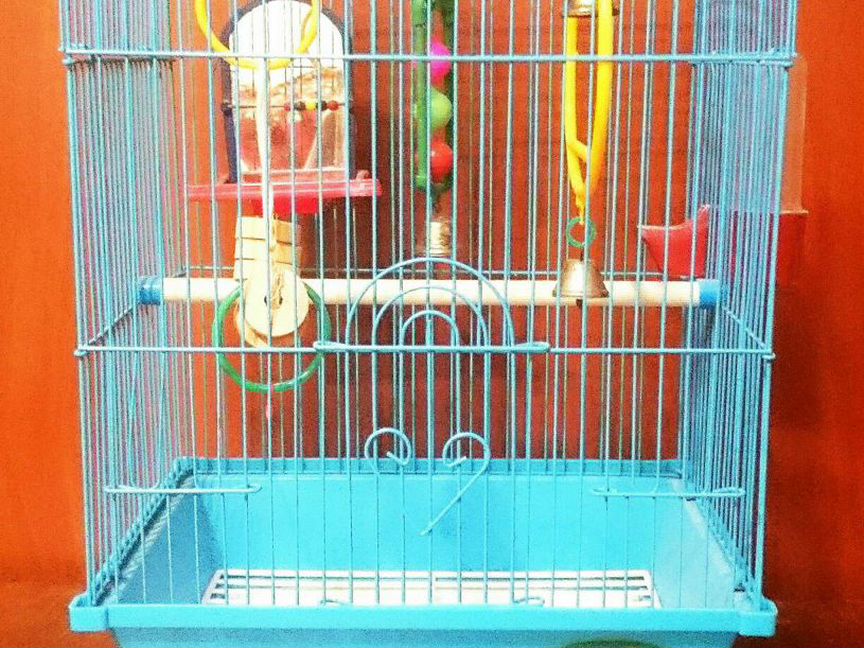 Клетка для птиц (попугая, канарейки.) +0