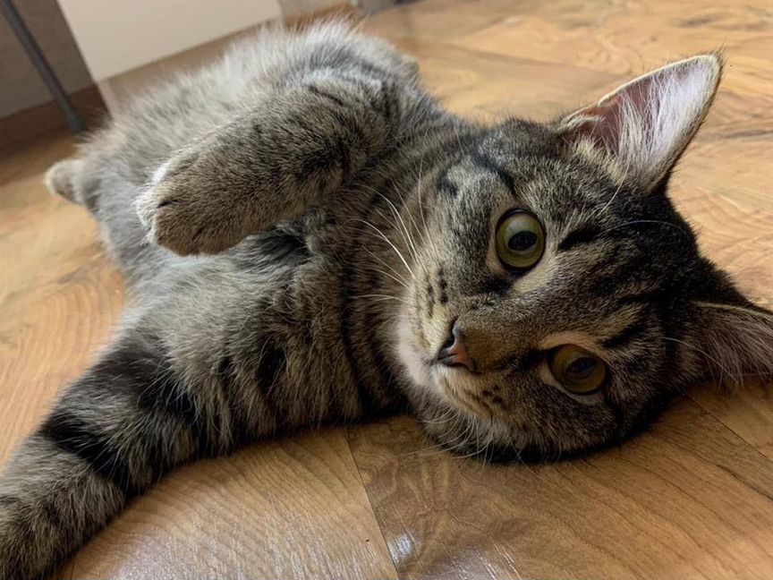 В хорошие руки