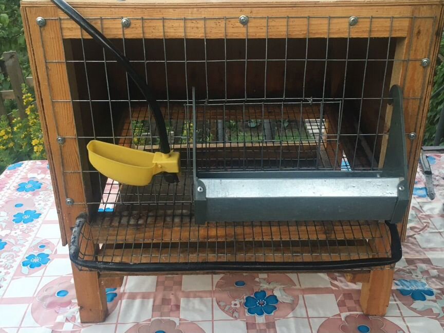 Клетка для перепелок