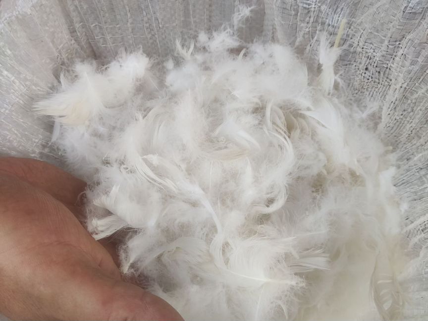 Пух гусиный