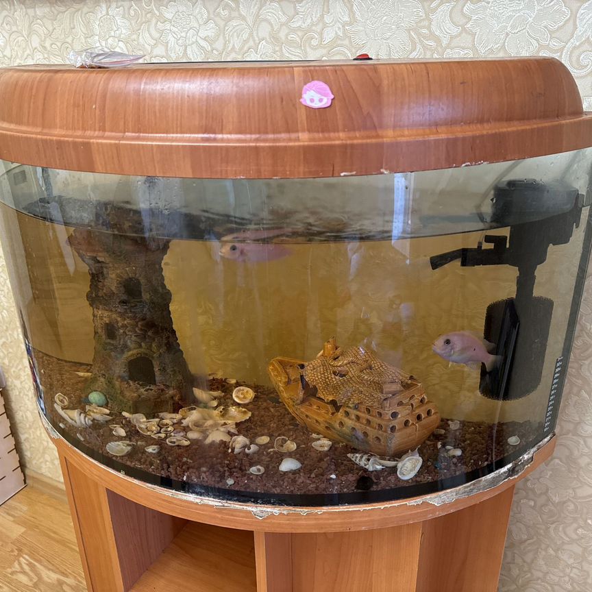 Аквариум с тумбой 80 лит