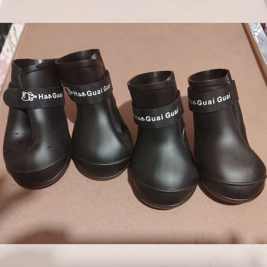 Ботинки для собак