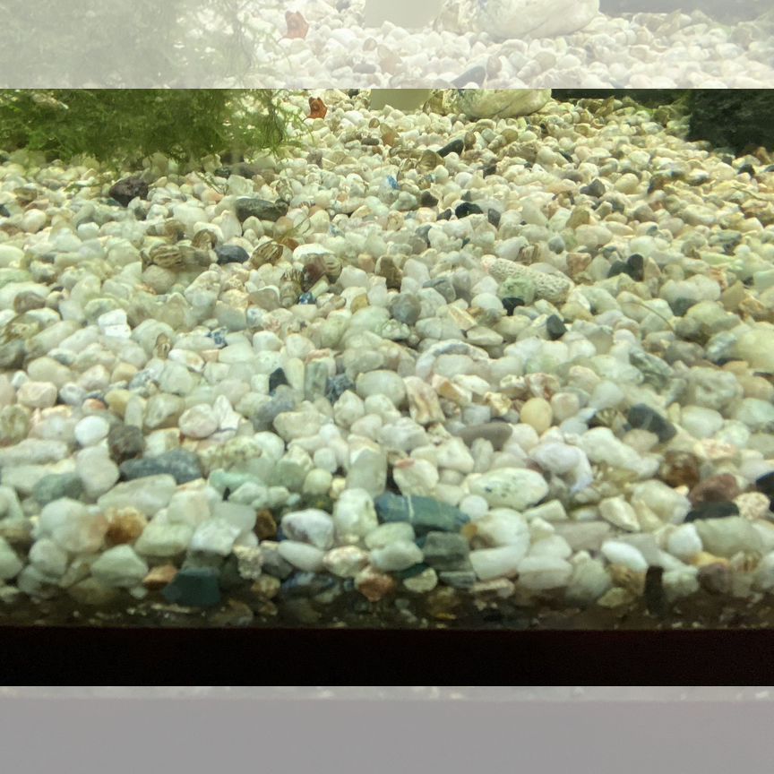 Аквариумный грунт