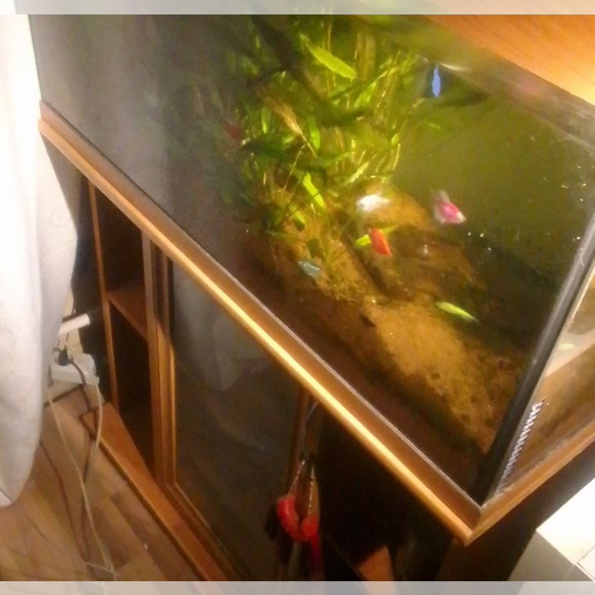 Аквариум Aquael (AquaPlus) 160 л. б/у с тумбой  