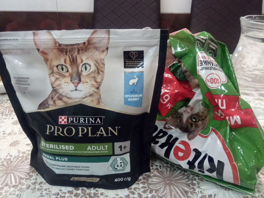 Корм для кота (обмен на фрукты)