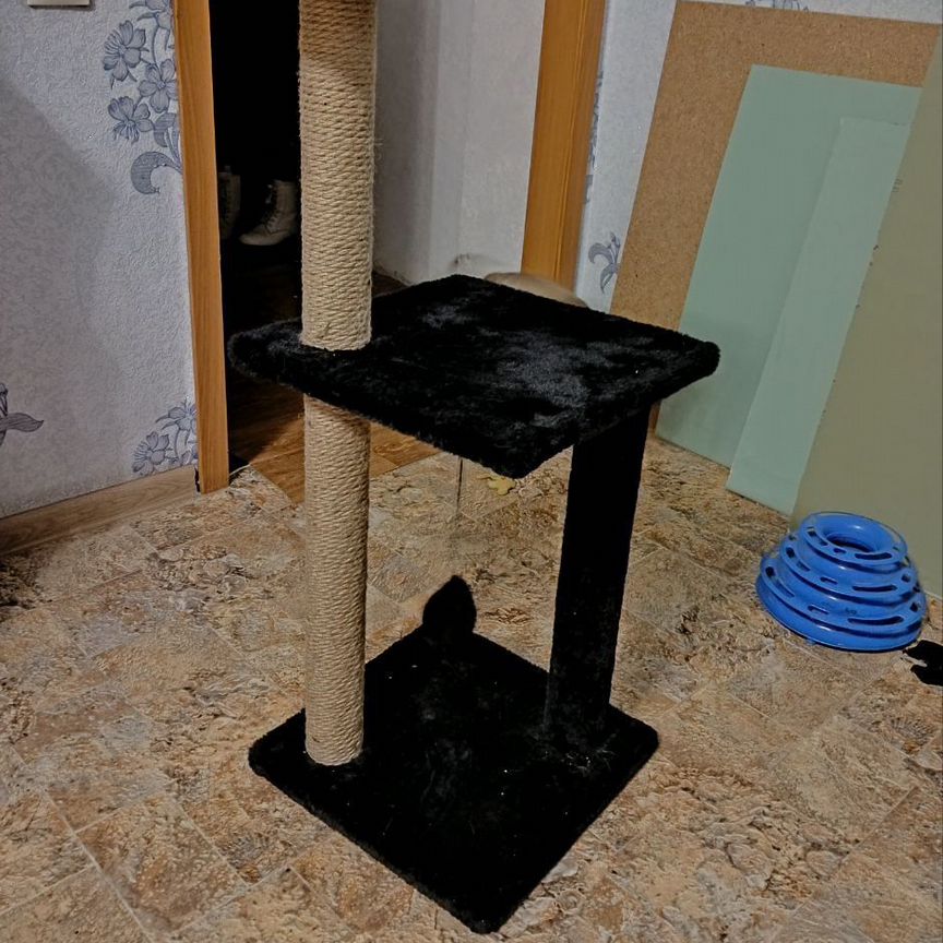 Когтеточка для кошек