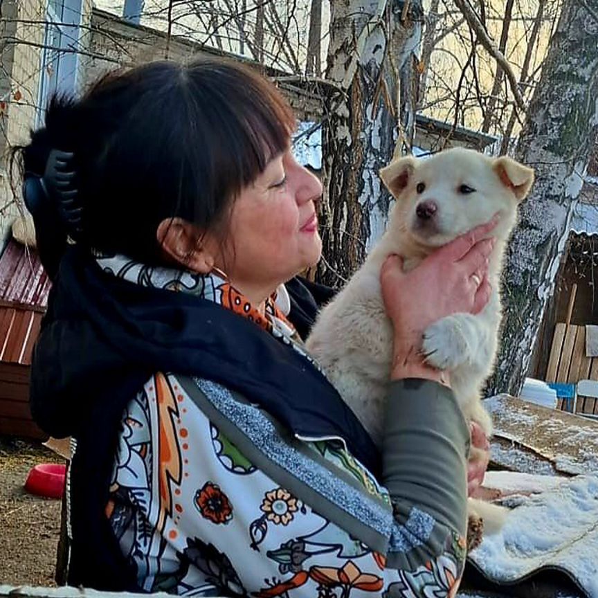 Щенки в добрые руки