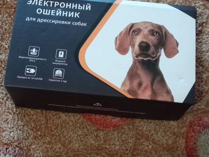 Электроошейник для собак