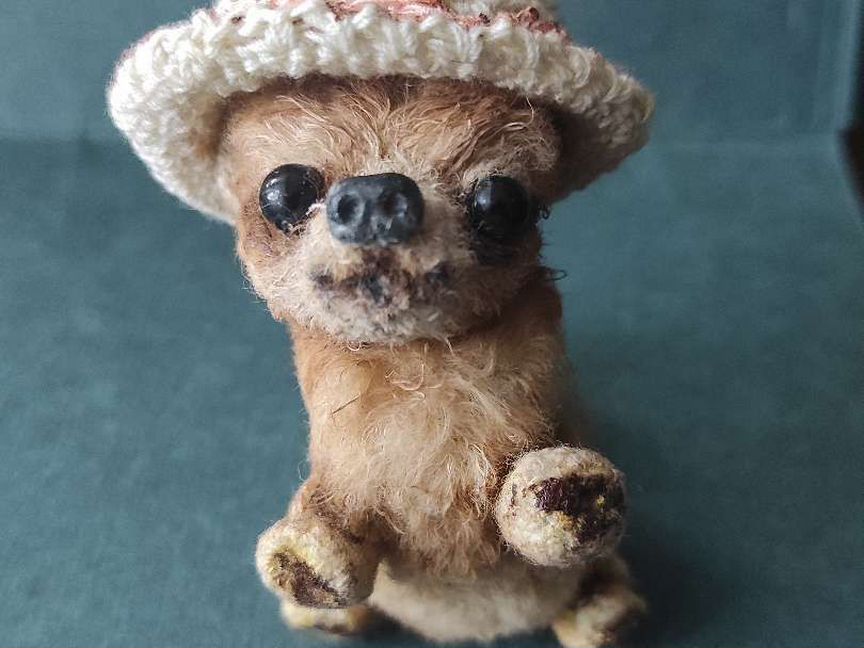 Свяжу маленькую чихуахуа по фото