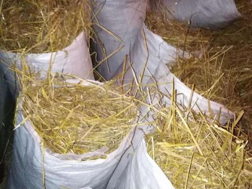 Солома в мешках 150