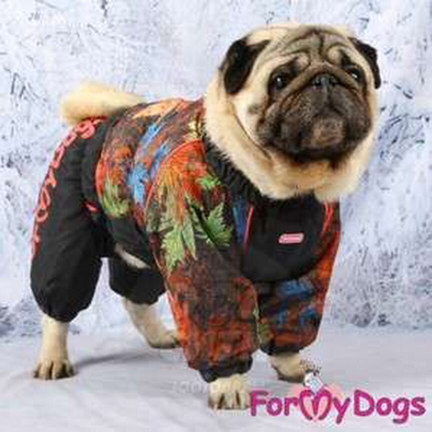 Одежда для средних пород собак